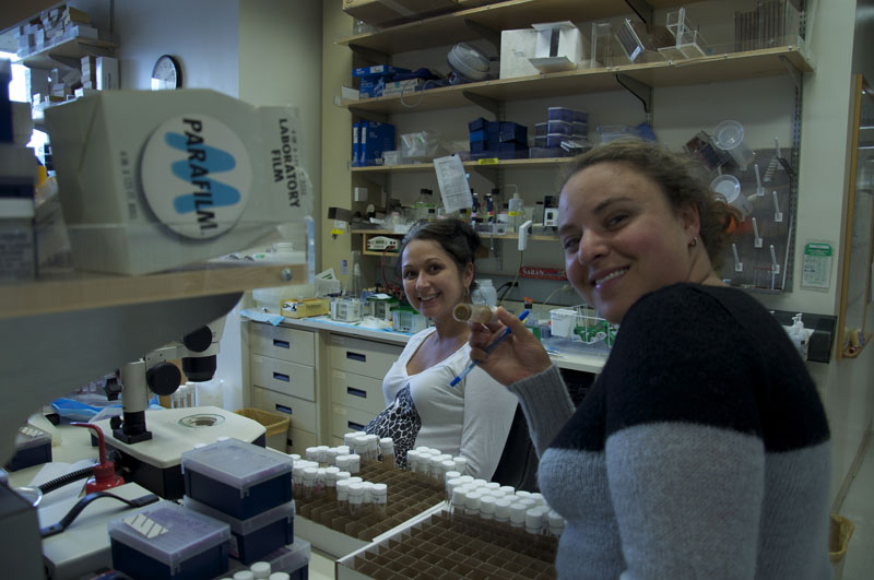Lab Photos | Chory Lab - Salk Institute for Biological Studies